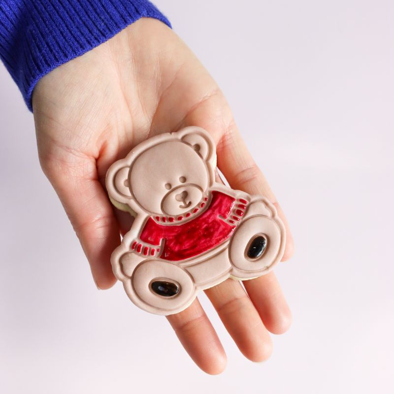 Teddy Treats Biscuit Baking and Decorating Starter Kit – littlebakebox