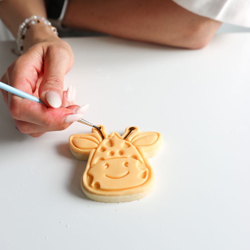 Giraffe Safari Biscuit Baking and Decorating Starter Kit – littlebakebox